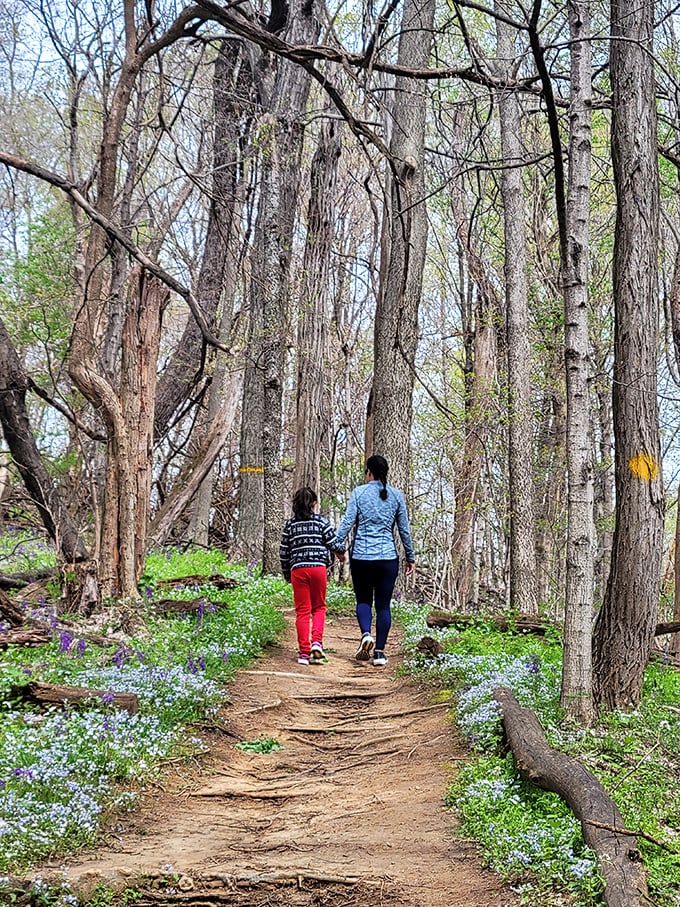 Follow the flower-brick road! This enchanting trail promises more wonder per step than Dorothy's yellow-bricked adventure.