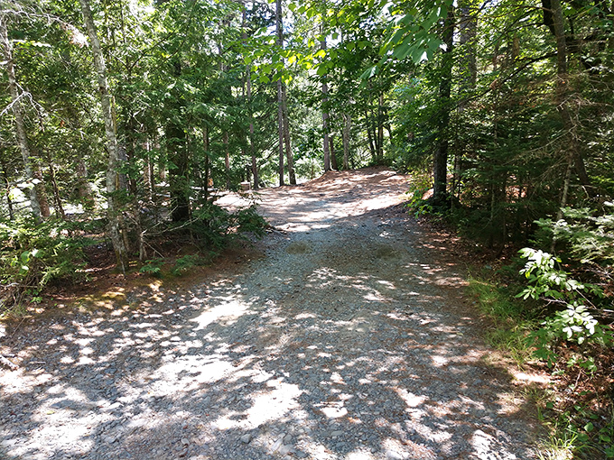 Follow the yellow brick... er, gravel road. This inviting trail promises encounters with both nature and nostalgia around every bend.