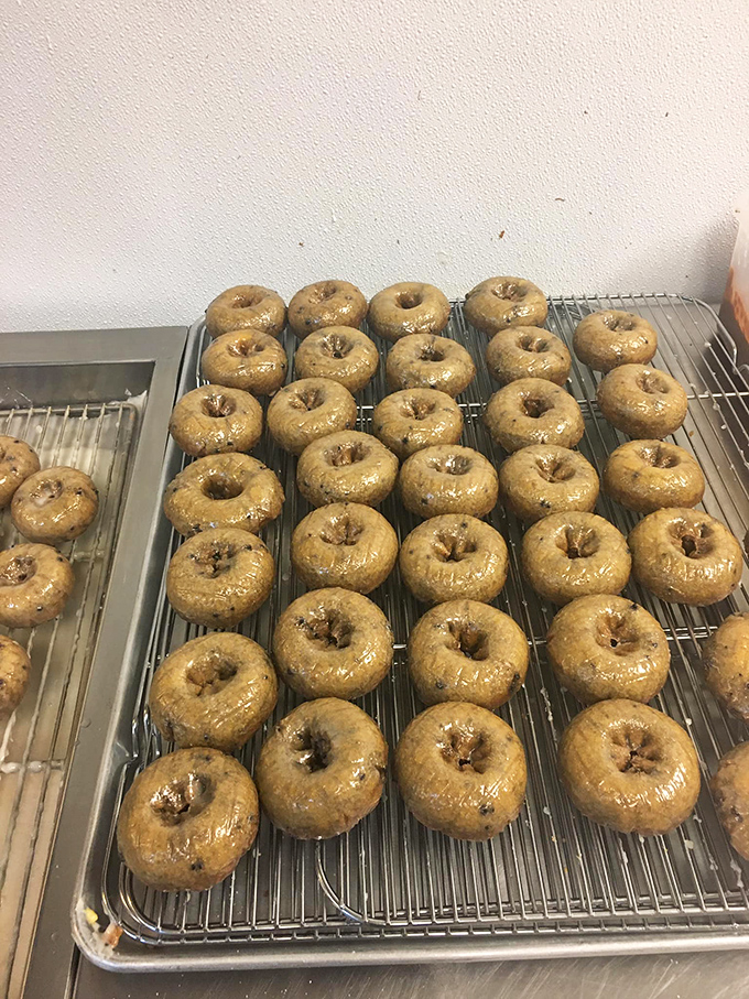 Blueberry bonanza! These purple-hued rings pack a fruity punch that'll make your taste buds do a happy dance.