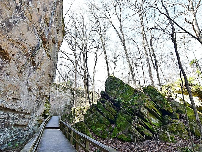 Nature's cathedral awaits! This awe-inspiring boardwalk trail invites you to worship at the altar of moss-covered rocks and towering trees.