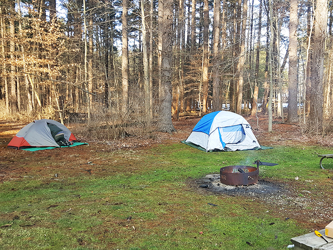 Camping: Where "roughing it" means your Wi-Fi might be a little spotty. Findley's campsites offer the perfect blend of nature and comfort.