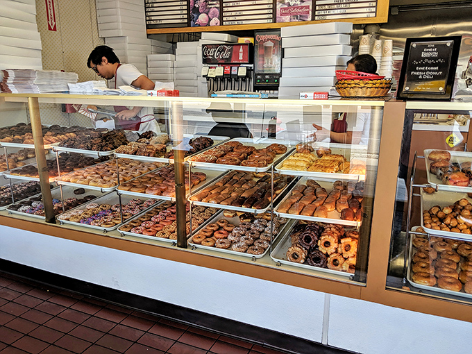 Donut nirvana awaits! This counter is where dreams come true and diets go to die, in the most delicious way possible.