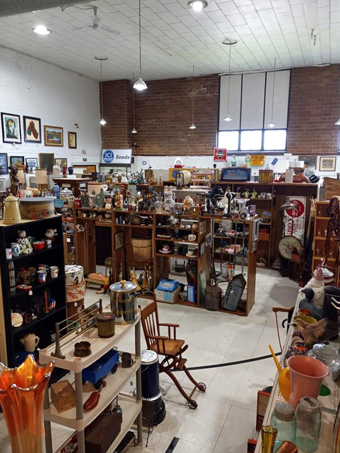 Curio cabinet meets Curiosity Shop! It's a three-dimensional 'I Spy' game where every shelf tells a story.