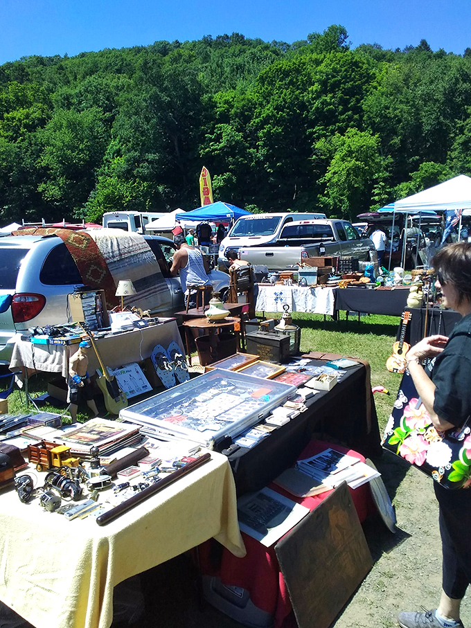 From knick-knacks to paddy-whacks, this display's got it all! It's like your attic and a museum had a yard sale baby.