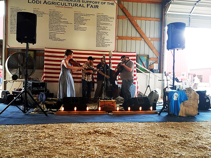Lodi's Agricultural Fair: where bluegrass meets blue ribbons. It's a toe-tapping, crop-judging extravaganza that's pure Americana.