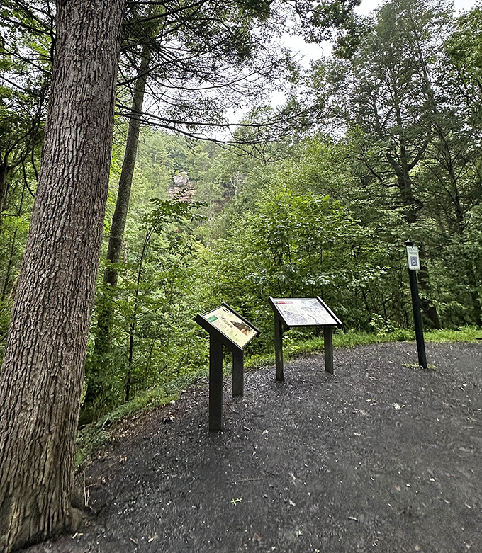 Nature's version of Wikipedia. These signs tell you everything, except how to pronounce "Trough" correctly.