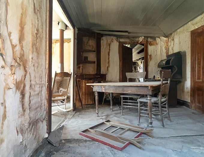 "The ultimate open-concept living." A decaying interior reveals the raw beauty of abandonment, where nature slowly reclaims human spaces.