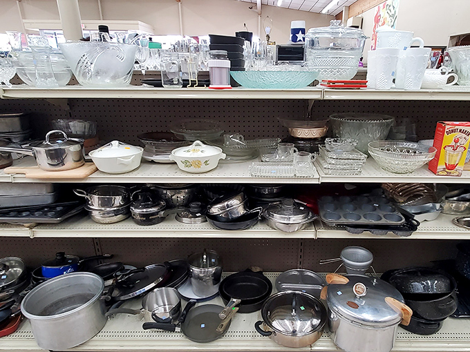 Pots, pans, and culinary dreams! This kitchenware cornucopia is where master chefs and microwave mavens alike find their tools of the trade.