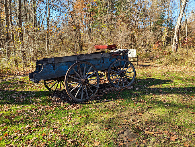 Wheel-y old school cool! This vintage cart stands as a charming reminder of Barkcamp's rich history, no DeLorean required for this time travel.