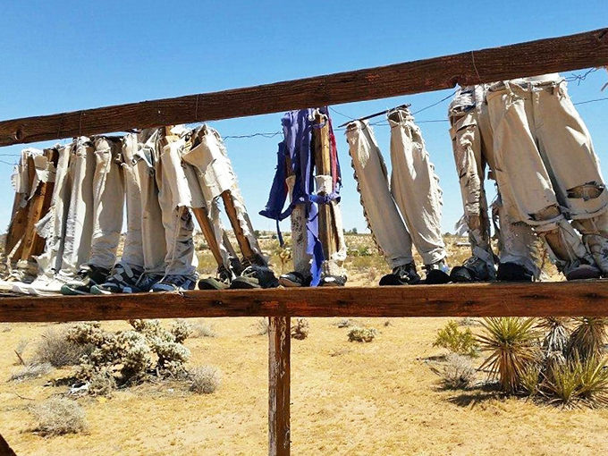 The desert's most avant-garde clothesline! These dangling trousers tell a story of humanity, one pant leg at a time.