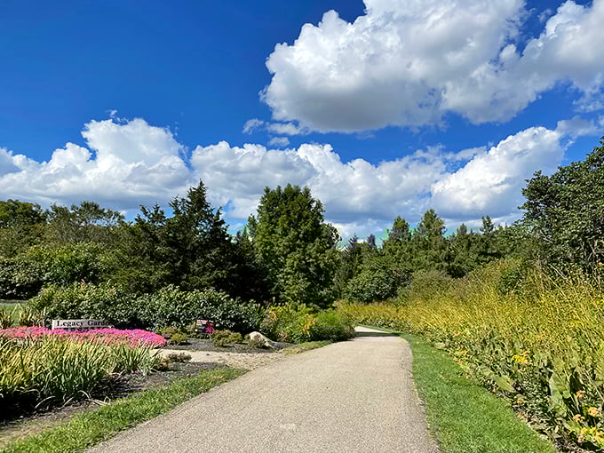 "Where the sidewalk ends and the adventure begins! This inviting trail is practically begging for a leisurely stroll or an impromptu nature quest."