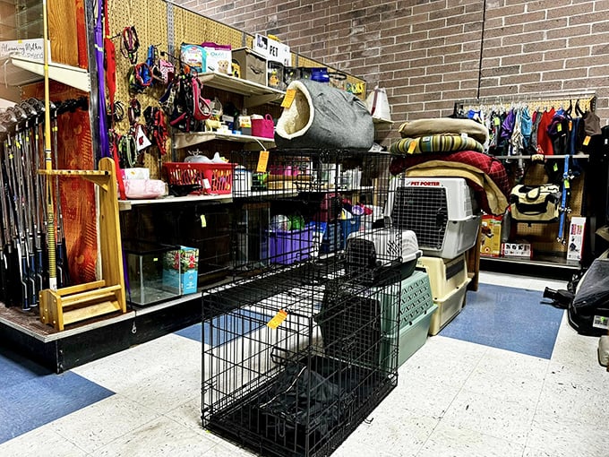 Pet paradise found! From Fido's new fortress to Fluffy's dream perch, this section's got enough gear to make Old MacDonald jealous.