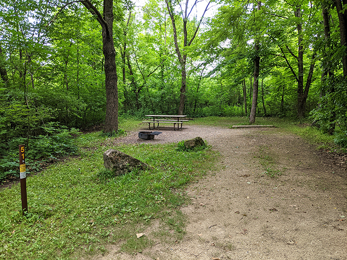 Nature's dining room: Where the ambiance is unbeatable and the dress code is strictly casual.