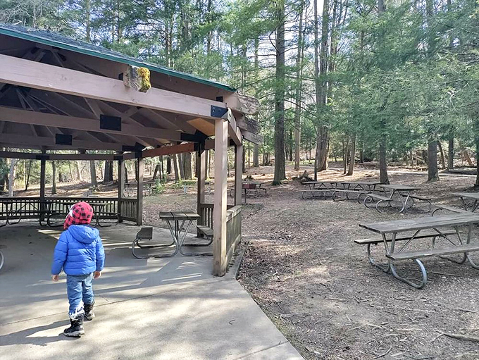 Picnic paradise or squirrel's all-you-can-eat buffet? This area is perfect for humans and woodland creatures alike to grab a bite.