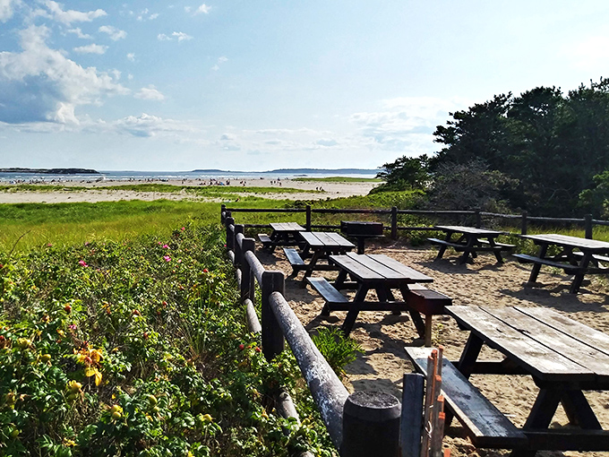 Picnic paradise found! These tables have front-row seats to nature's greatest show. BYO lobster roll for the full Maine experience.