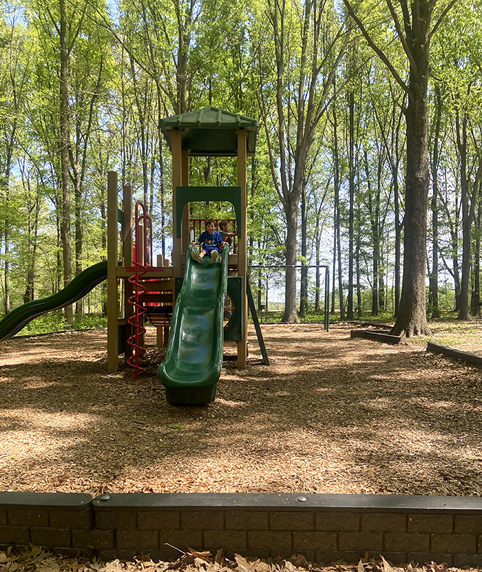 Playground or portal to adventure? This forest fortress invites kids (and kids at heart) to slide into fun.