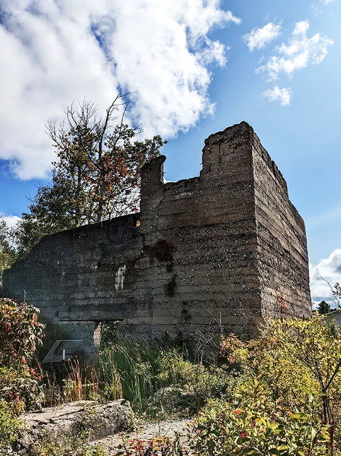 Mother Nature's reclaiming act! These ruins aren't from ancient Rome - they're Onaway's very own time capsule of industry past.