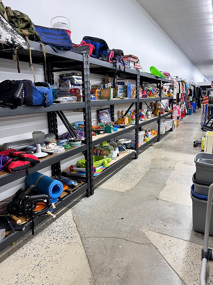 From camping gear to kitchen gadgets, this shelf is like your garage sale fantasies come to life. Marie Kondo would not approve.