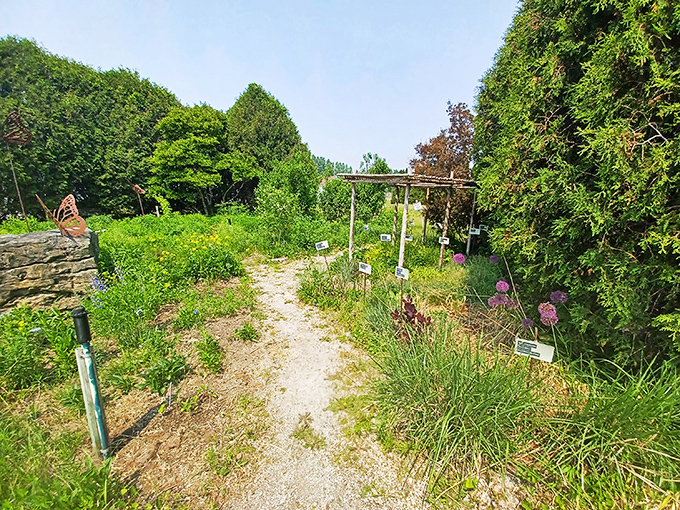 The path less traveled... by lawnmowers. This wild and wonderful trail is proof that sometimes, the best gardens are the ones that color outside the lines.