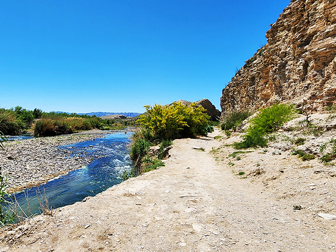 Follow the yellow brick... err, sandy road! This trail promises adventure without the flying monkeys.