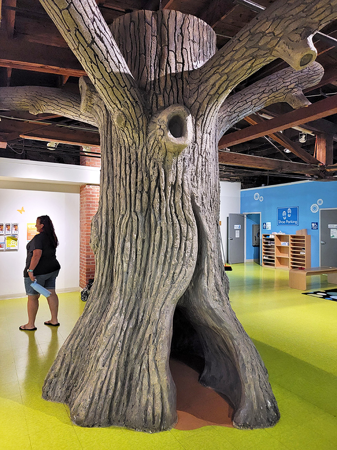 Barking up the right tree! This isn't your average treehouse &ndash; it's a towering testament to nature's wonders, right in the heart of the museum.