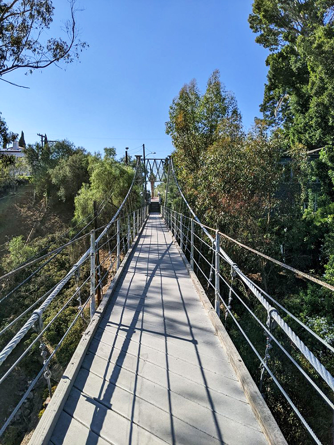 Tree huggers rejoice! This bridge lets you get up close and personal with nature's skyscrapers. No climbing gear required.