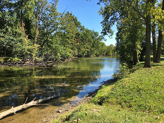 Nature's cathedral, where sunlight filters through leafy stained glass and squirrels are the choir. The best part? No dress code required!