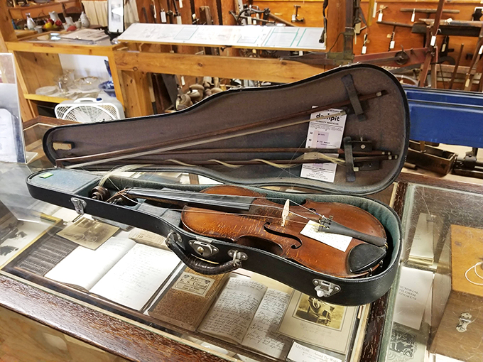 Violin or fiddle? Either way, this beauty's ready to play a tune that'll transport you straight to a 19th-century barn dance.