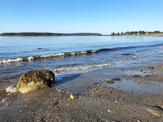 Tides of tranquility. Where the ocean meets the shore, creating a symphony of gentle waves and whispered secrets. It's nature's own relaxation app, no download required.
