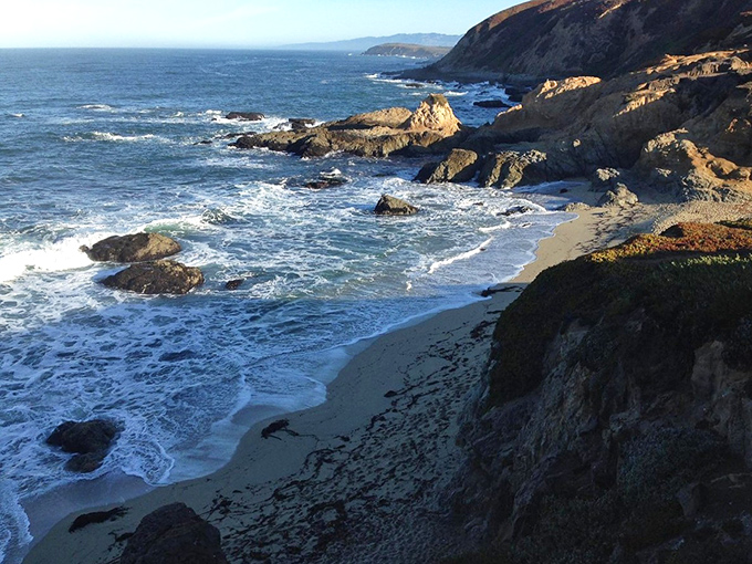 Bodega Bay: Where 'The Birds' was filmed, but don't worry &ndash; the only thing these gulls are after is your sandwich.