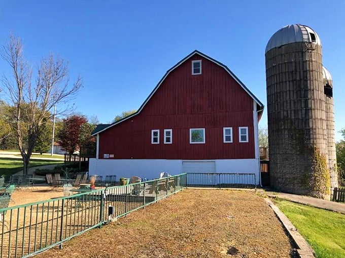 Botham Vineyards: Where art meets agriculture! This winery proves that sometimes, the best pairings aren't on the menu.