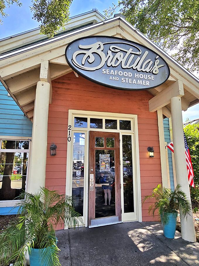 Brotula's: Where 'fresh catch' is an understatement and 'delicious' is the daily special. Your taste buds are in for a reel treat.