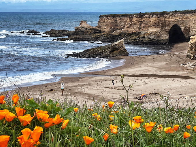 Springtime beauty at Buchon Beach! California poppies frame the rugged cliffs and stunning ocean archways in San Luis Obispo.