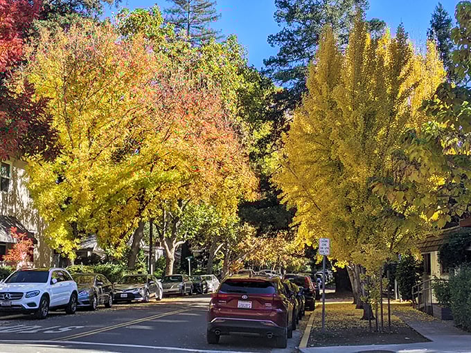 Calistoga: Where 'mud season' is a good thing. Get ready to get dirty in the name of relaxation!