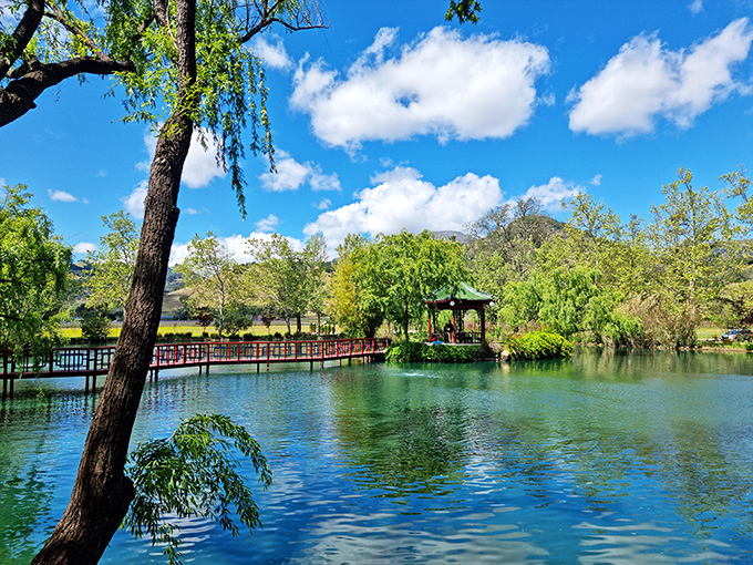 Take a moment to soak up the peaceful beauty of Chateau Montelena. This vibrant oasis is waiting for you!