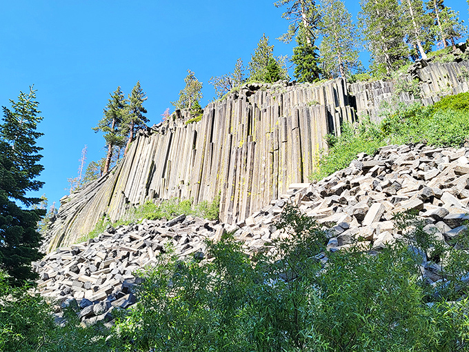 Devils Postpile: nature's geometry lesson, proving that even rocks can have an obsession with perfect hexagons.