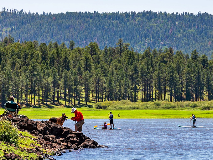 Greer: Where Arizona pretends to be Colorado. Pine-scented air, babbling brooks, and enough green to make you forget you're in the Southwest.