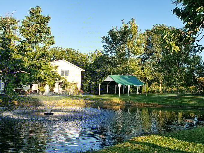 Hanover Winery: From backyard hobby to vineyard haven. It's like your neighbor's garage band that actually made it big.