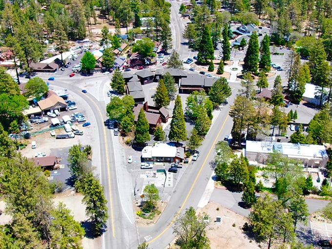 Idyllwild: Where the air is crisp, the trees are tall, and the mayor has four legs. Yes, really.