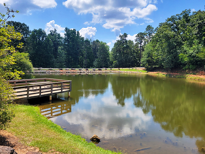 Victoria Bryant State Park: Small in size, big on charm. This beach is like that quiet friend who surprises everyone at karaoke night.