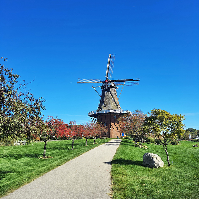 Holland's vacation home! This windmill looks like it took a wrong turn at the tulip fields and decided to stay.