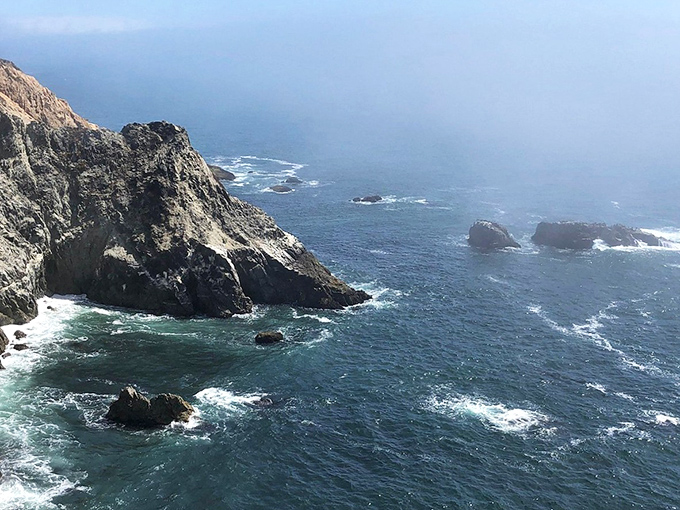Rugged beauty meets small-town charm in Bodega Bay. It's the perfect spot for seafood, scenery, and maybe a Hitchcock-inspired bird watch!