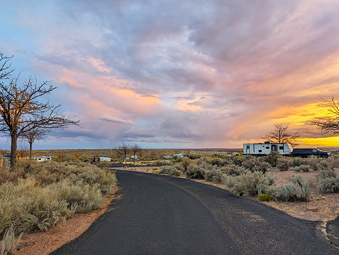 Homolovi State Park: Where ancient meets awesome. These ruins tell stories older than your grandpa's jokes, but way more interesting.