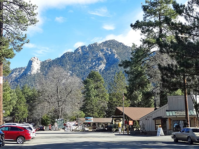 Idyllwild's village center: Rustic charm meets artsy vibe. It's like a summer camp for grown-ups who still love s'mores and stargazing.