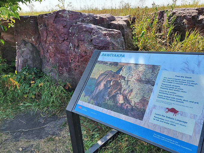 These carvings are like prehistoric Twitter &ndash; sharing life's moments, one rock at a time. #AncientSocialMedia