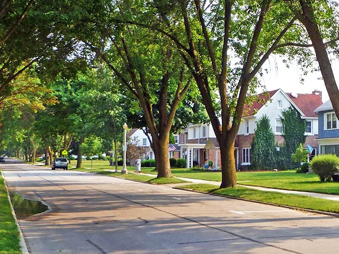 Kohler's tree-lined streets: A green oasis that would make Central Park envious. It's like someone took the best parts of suburbia and turned them up to eleven.