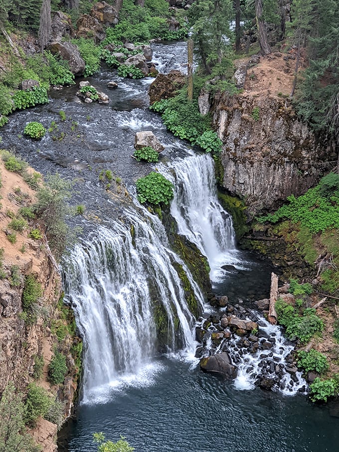 Can't decide on one waterfall? McCloud's got you covered with a trio of liquid wonders. It's nature's buy-one-get-two-free deal!