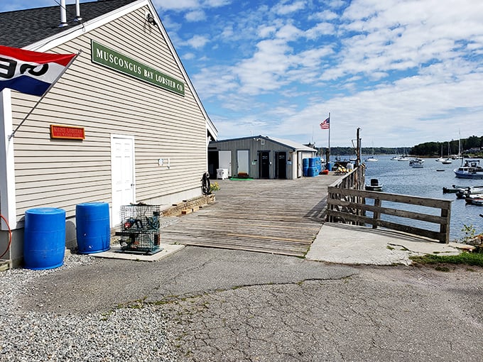 No-frills perfection at Muscongus Bay. Lobsters so fresh, they might ask you for directions back to the ocean.
