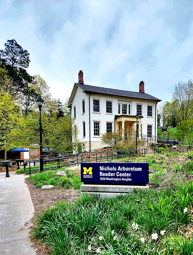 Nichols Arboretum's treehouse: Giving 'higher education' a whole new meaning. Study break, anyone?