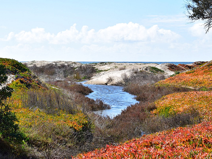 Feel the warm sand between your toes and enjoy this vibrant coastal view. What a perfect day!
